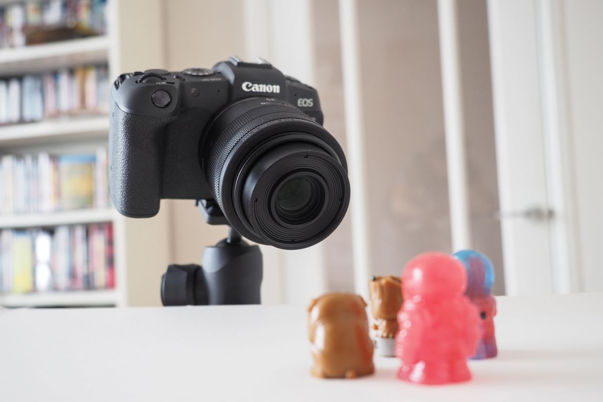 Home photography ideas: Master focus bracketing & focus stacking macro ...