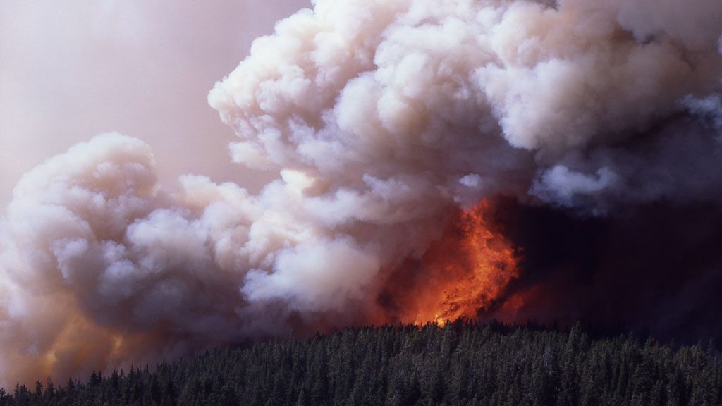 Watch Yellowstone Recover from Wildfires Over 30 Years in This NASA ...