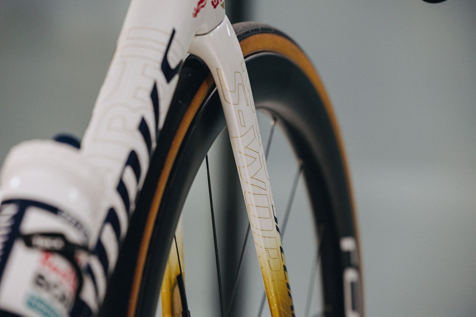 Remco Evenepoel’s Specialized S-Works Tarmac SL8 for 2026: Gold accents ...