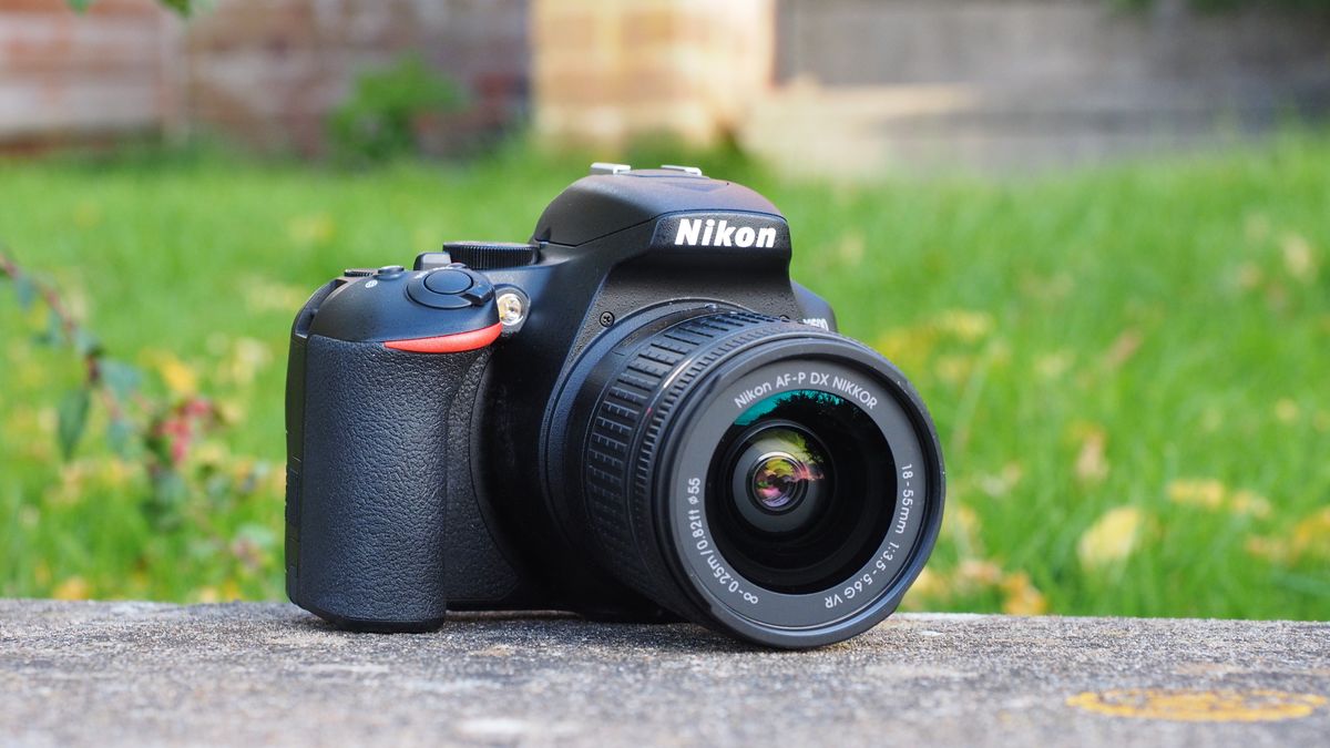 The best budget DSLRs in 2023 | Digital Camera World