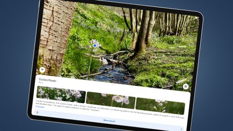 How to use Google Lens on your iPhone or iPad | TechRadar