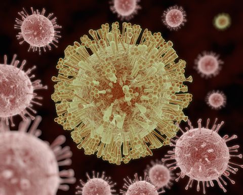 Are viruses alive? | Live Science