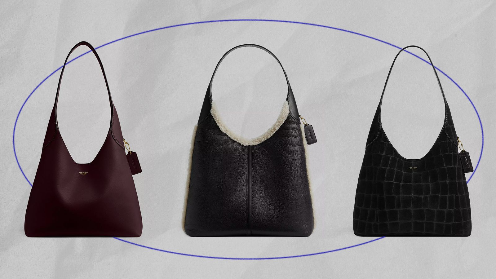 Why We Love the Coach Brooklyn Bag | Who What Wear