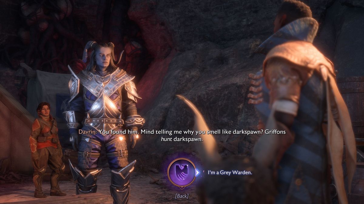 After 14 years, playing as a Grey Warden again in Dragon Age: The ...