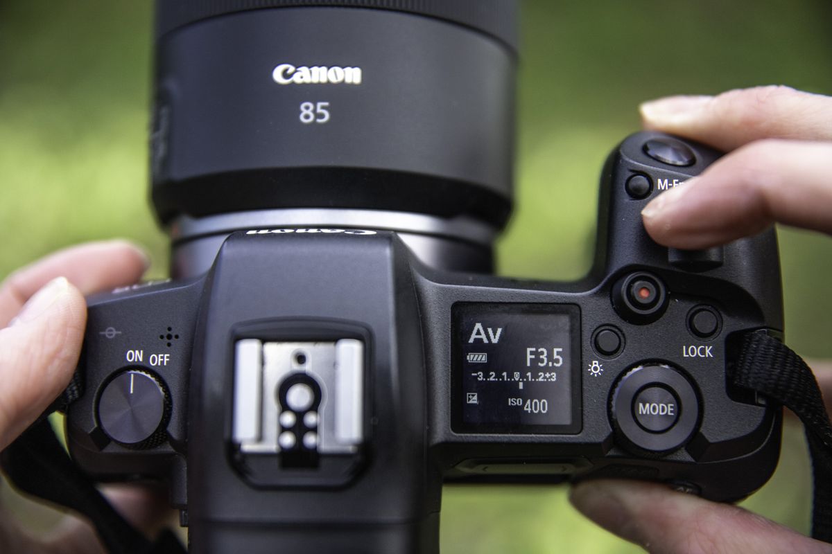 10 essential steps to better macro images | Digital Camera World