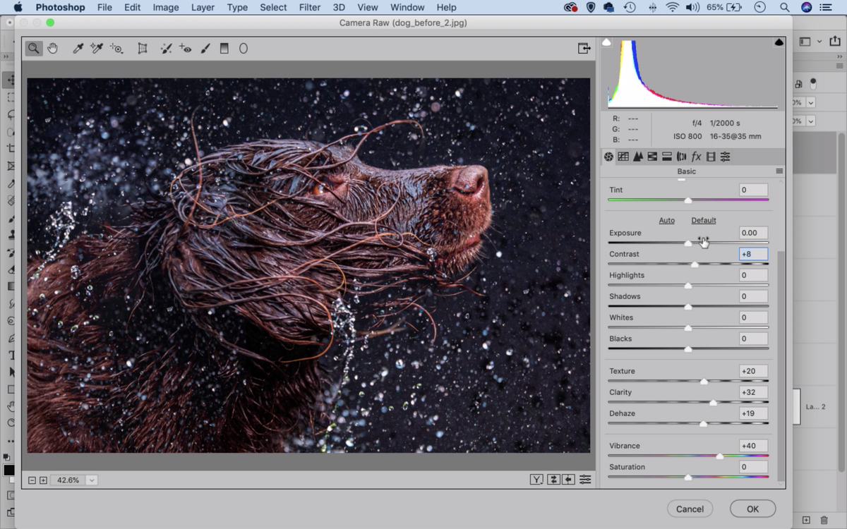 Perfect your pet portraits by adding layer effects in Photoshop ...