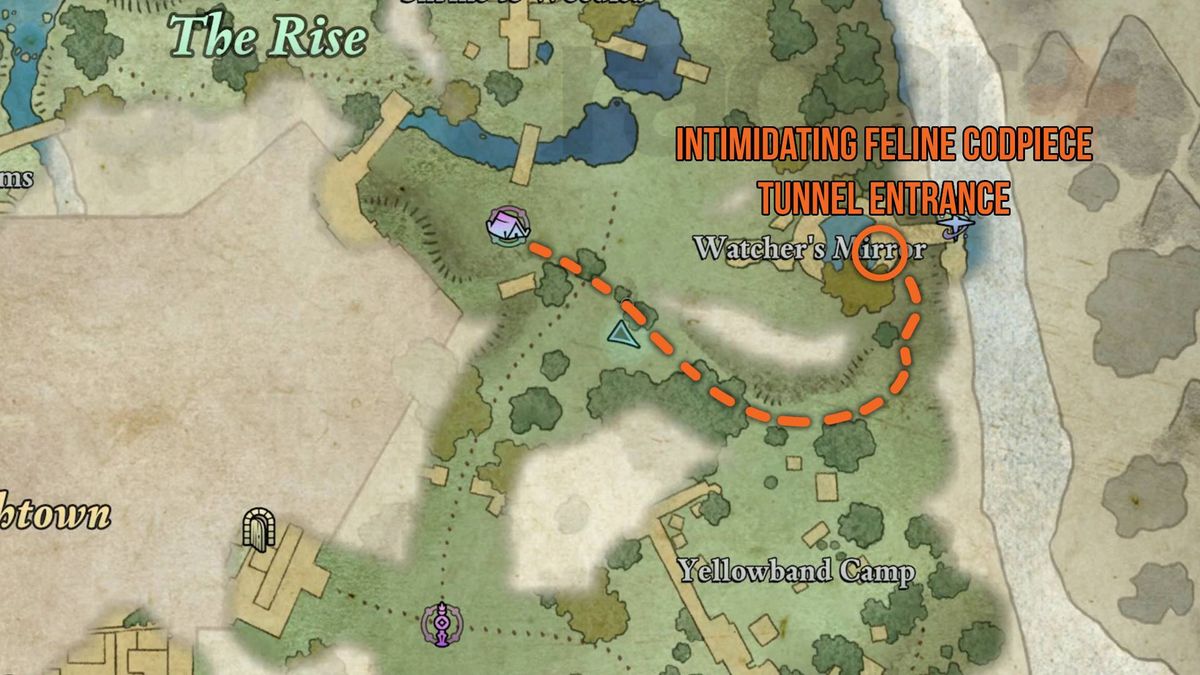 How to find the Avowed Intimidating Feline Codpiece treasure | GamesRadar+