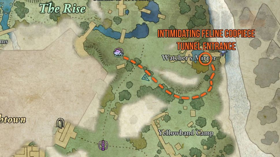 How to find the Avowed Intimidating Feline Codpiece treasure | GamesRadar+