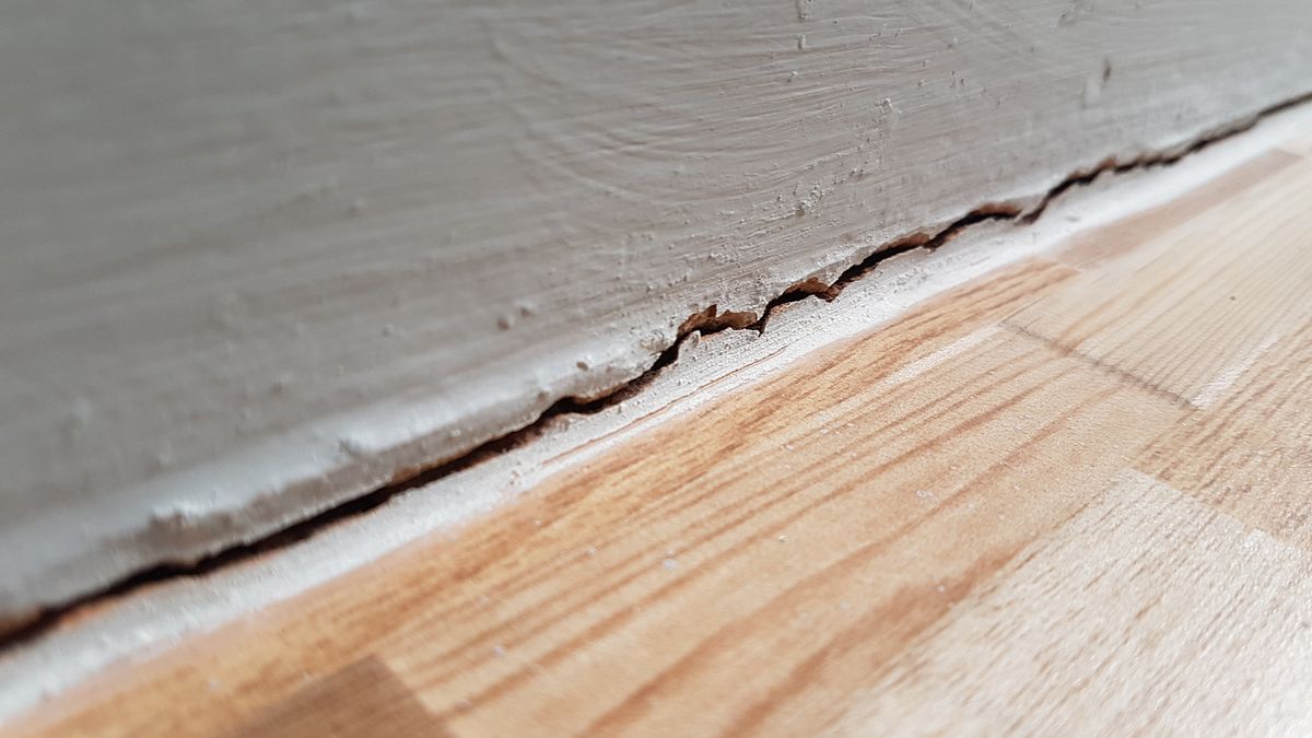 How to get rid of cobwebs and keep them away | Tom's Guide