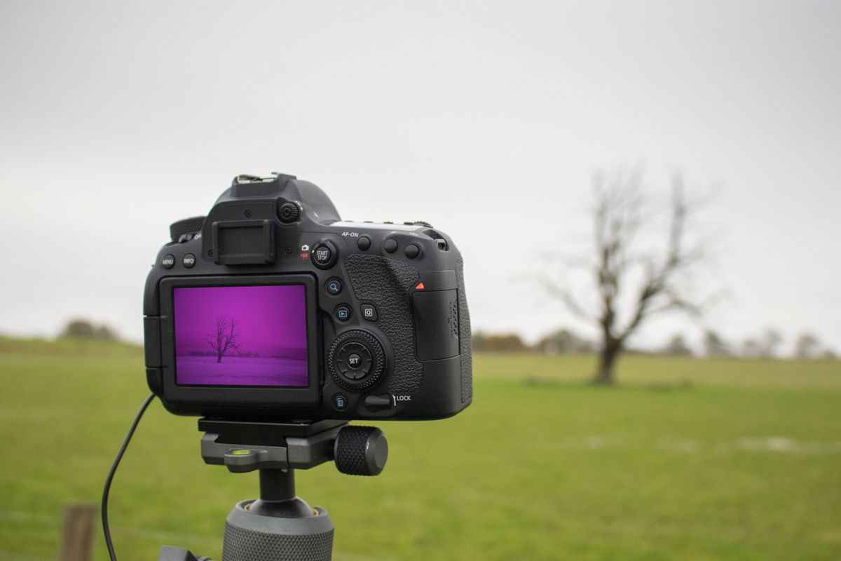 Take infrared photos on a tight budget with your DSLR or mirrorless ...