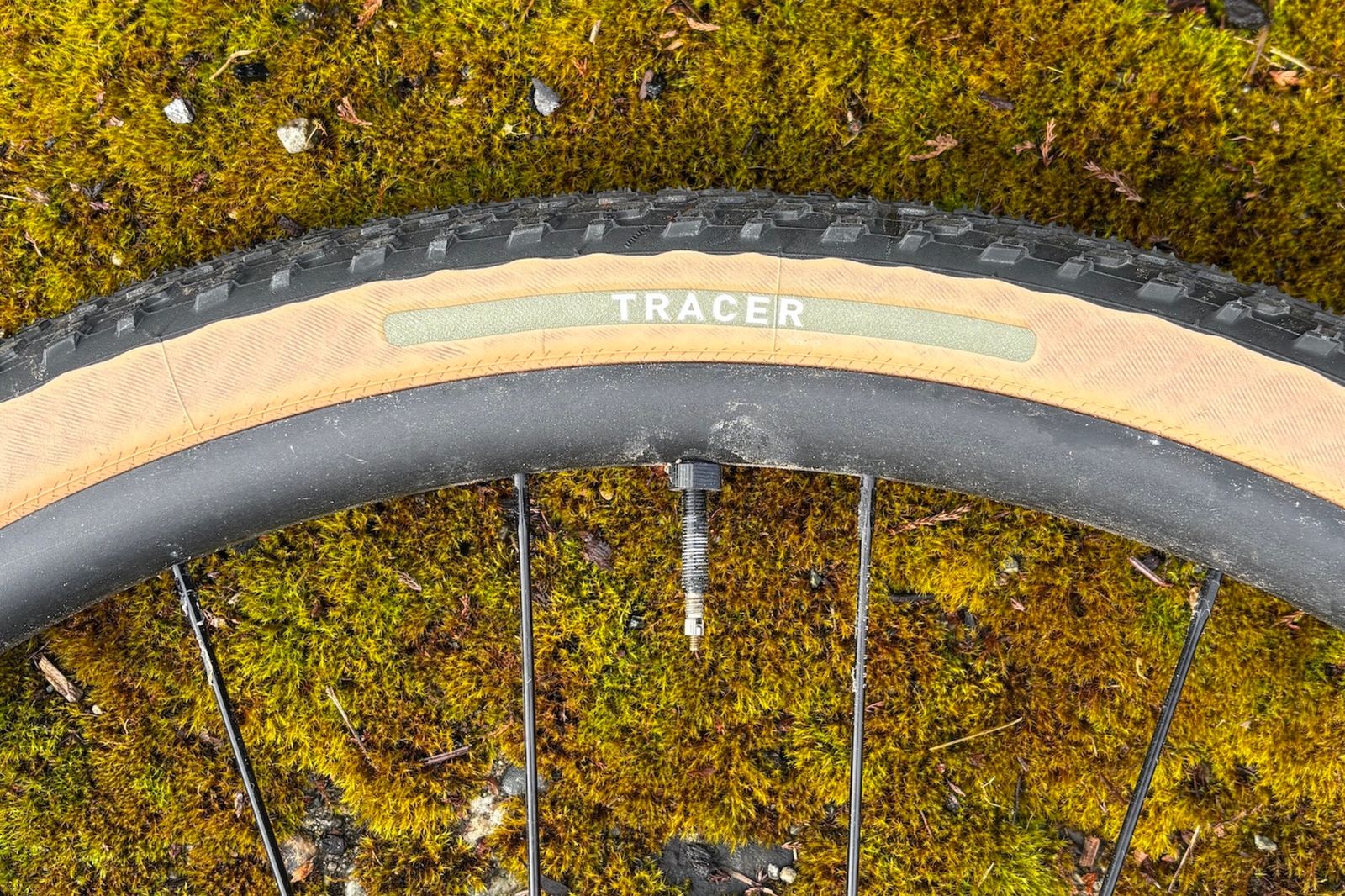 Specialized's gravel tyres get an update—first ride impressions of the ...