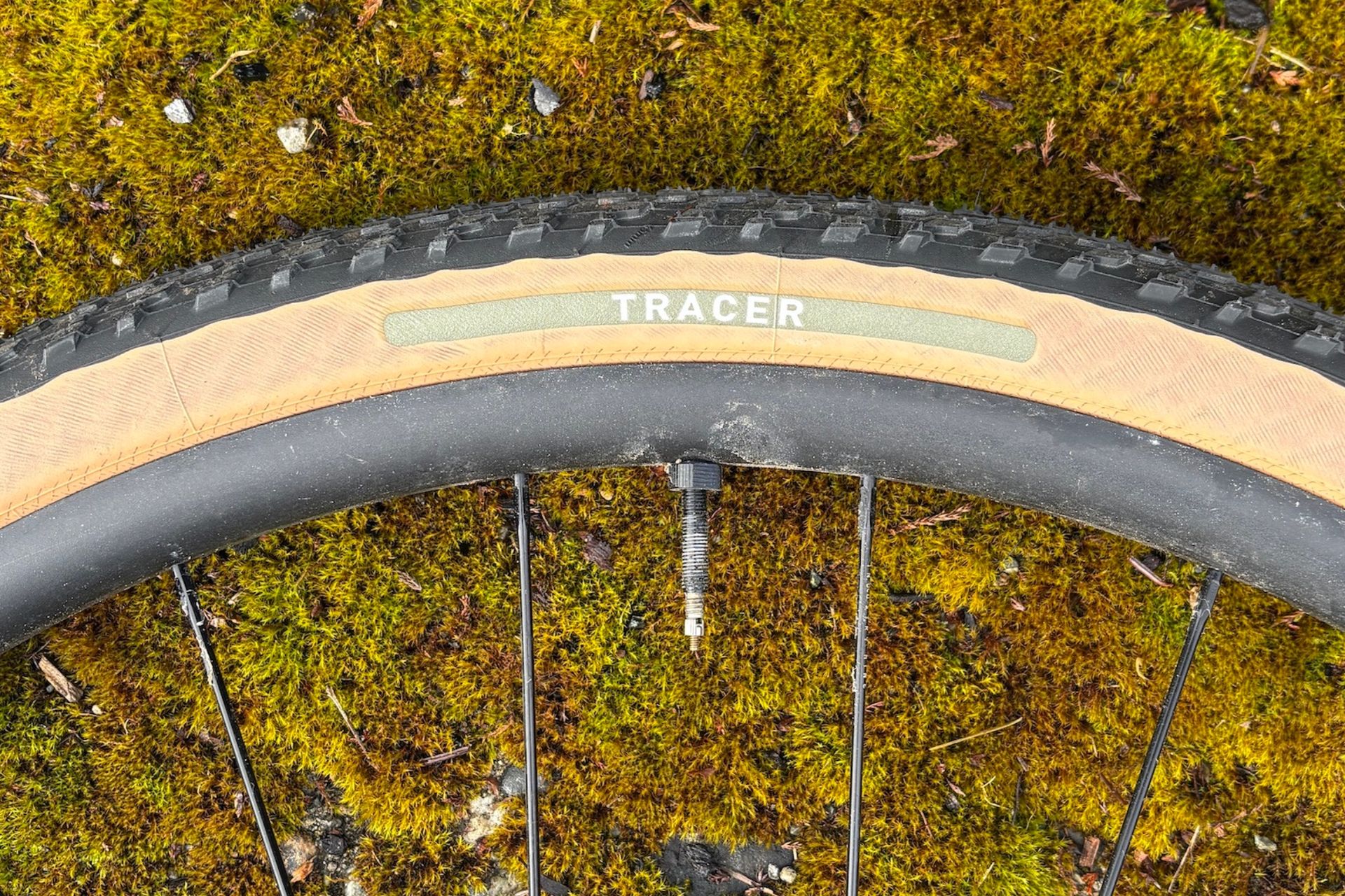 Specialized's gravel tyres get an update—first ride impressions of the ...