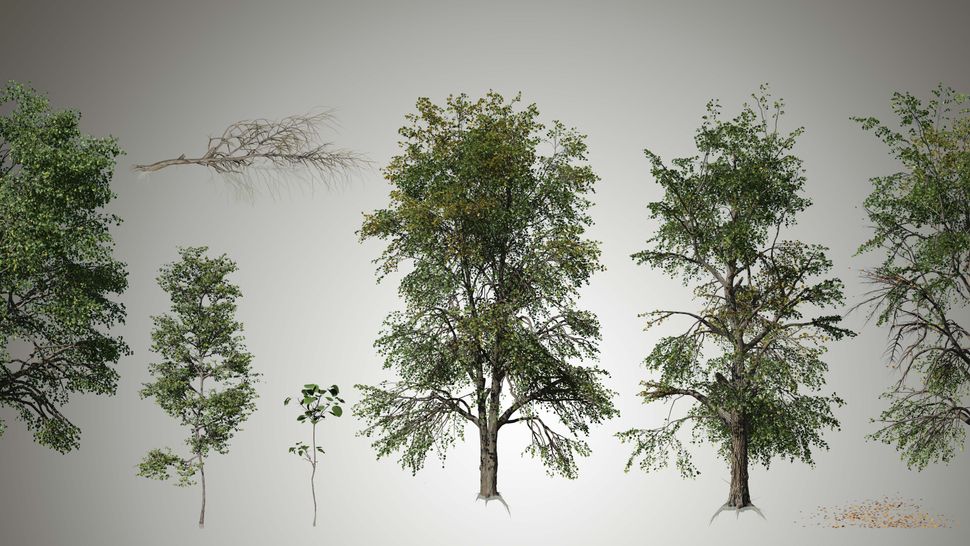 From The Elder Scrolls to the US Secret Service: where videogame trees ...