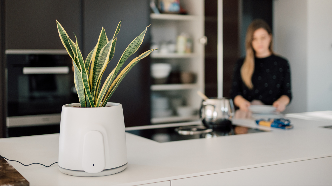 This air purifier looks like a plant pot, but it eliminates pollutants ...