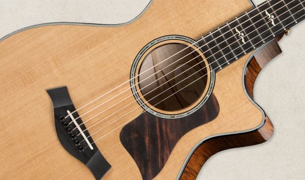 Taylor Guitars Introduces Two New 600 Series Models at Musikmesse ...