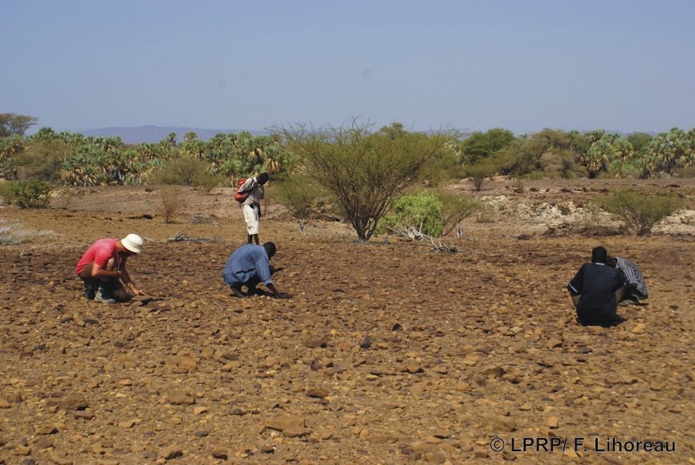 Images of an Ancient Hippo Ancestor | Live Science
