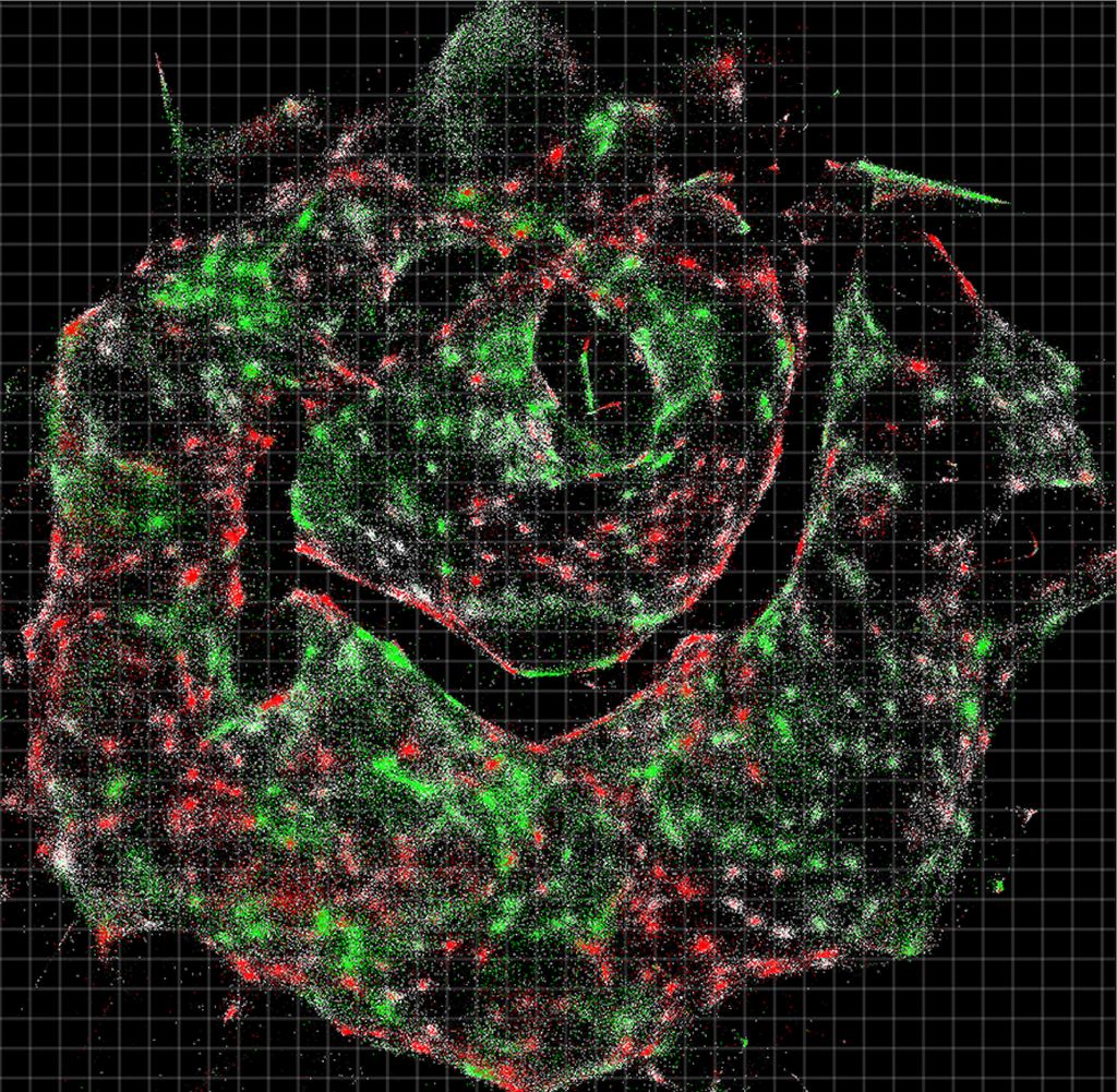 Cells Shimmer Like a Thousand Ice Cream Sprinkles in Gorgeous New 'DNA ...