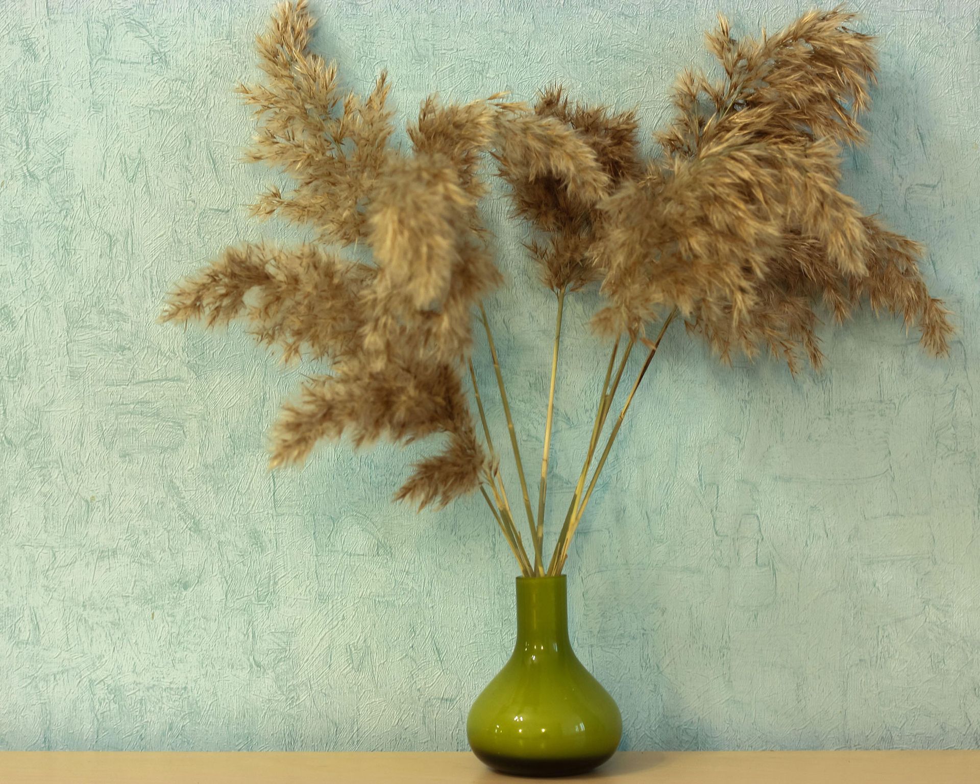 How to grow pampas grass - expert advice for new colors | Livingetc