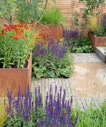 What are rice hulls for gardening and how to use them | Homes and Gardens