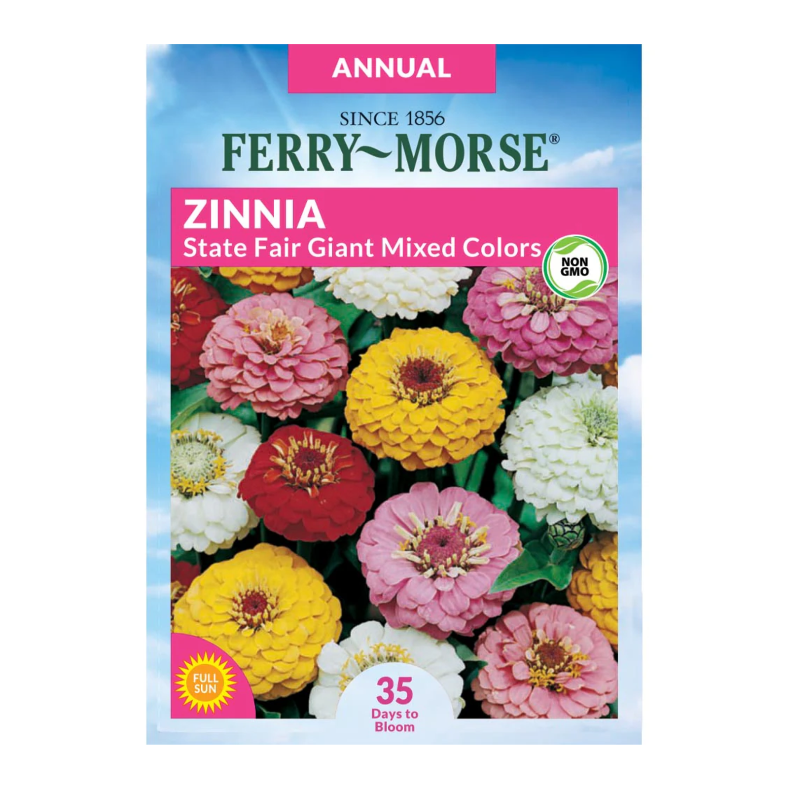 6 Fast-Growing Flower Seeds to Plant for a Blooming Backyard | Livingetc