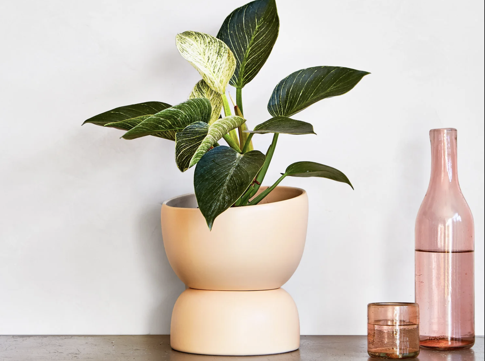 How Does a Self-Watering Planter Work? The Types Explained | Livingetc