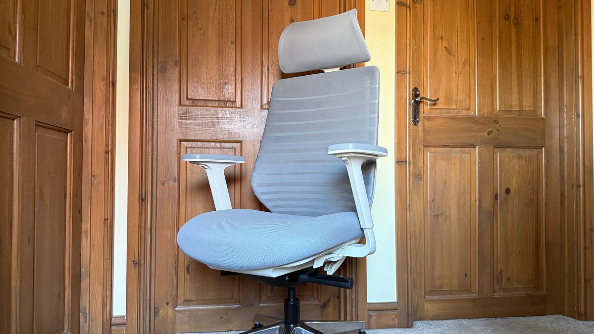 Branch Ergonomic Chair review: A budget chair that's a treat for your ...