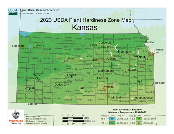 Tips & Information about USDA Planting Zones - Page 2 | Gardening Know How