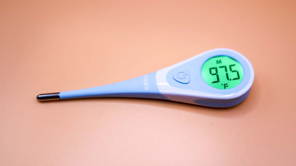Best thermometers in 2025: tested and rated | Tom's Guide