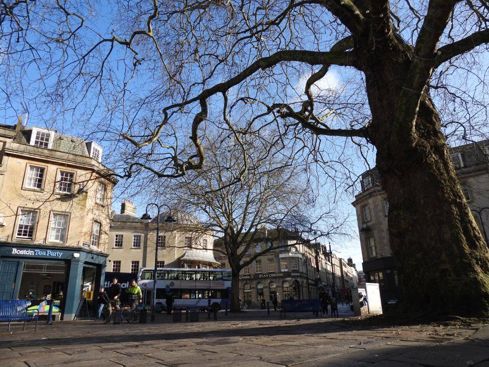 Nikon P950 review | Digital Camera World