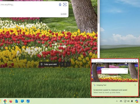 How to take screenshots on Google Chrome on Windows 10 and 11 | Windows ...
