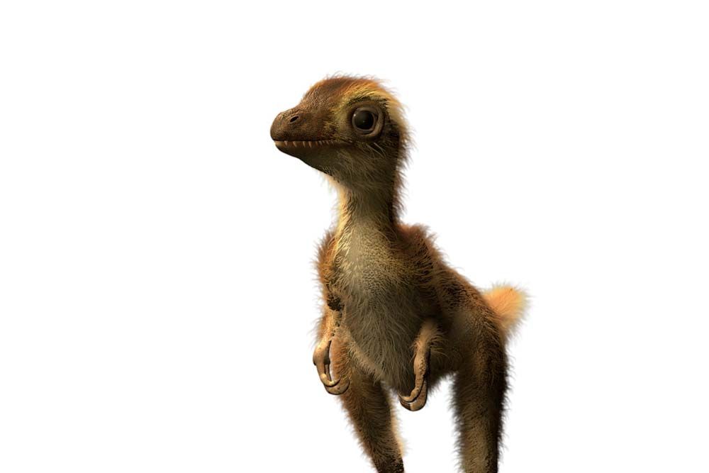 In Images: A New Look at T. Rex and Its Relatives: Page 2 | Live Science