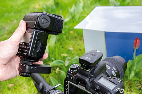 Home photography ideas: Capture flower photos outside with a DIY studio ...