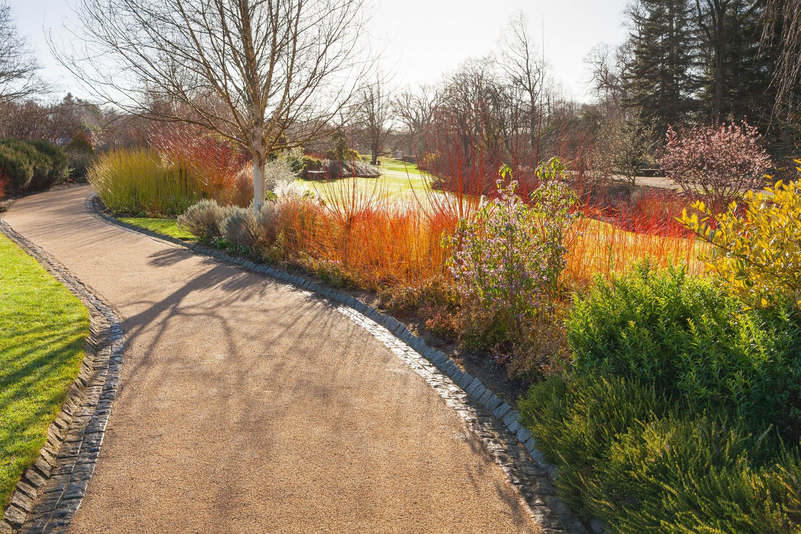 Winter jobs in the garden: 21 cold-weather chores that take care of ...