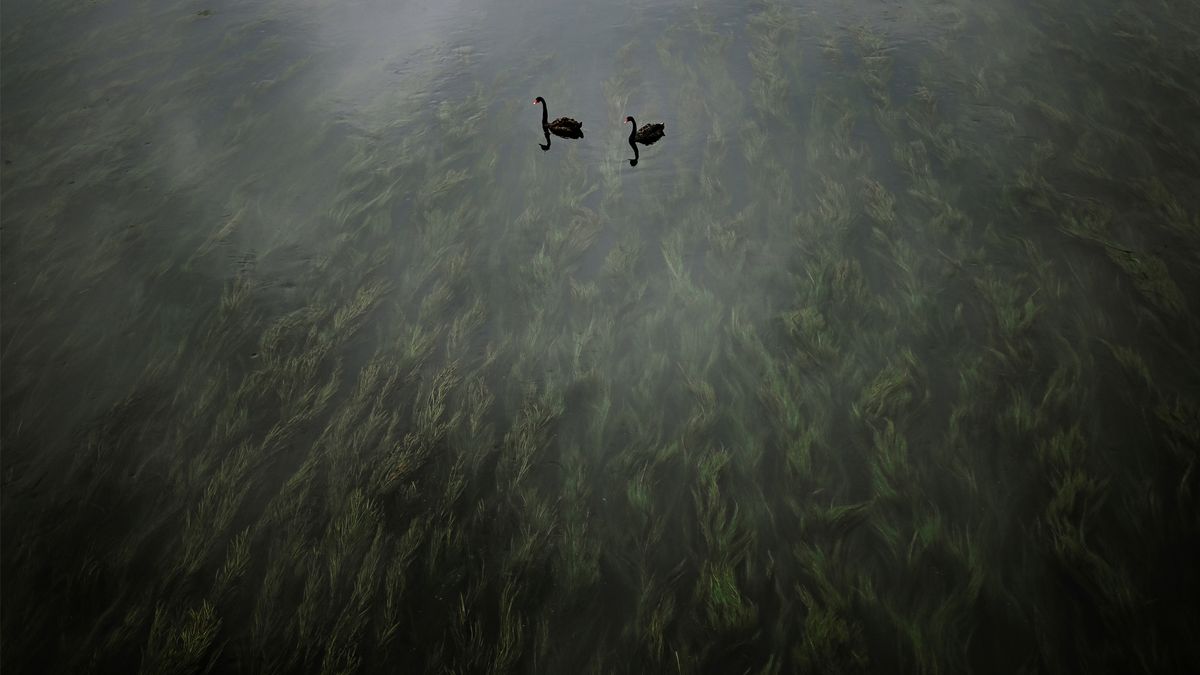 The week's best photos | The Week