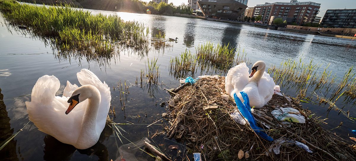 Living without plastic | Part 2: A plan of plastic-free action ...