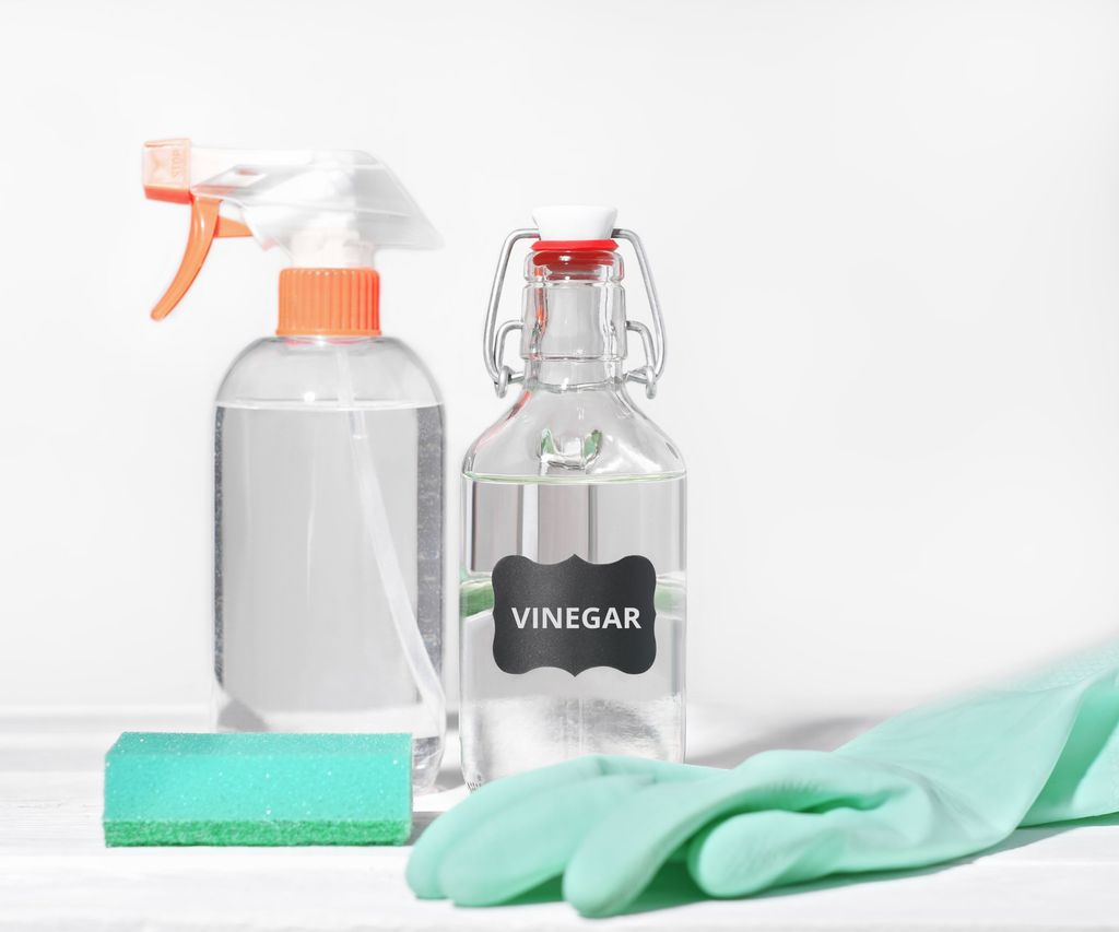 9 of the best natural deodorizers for use at home | Homes and Gardens