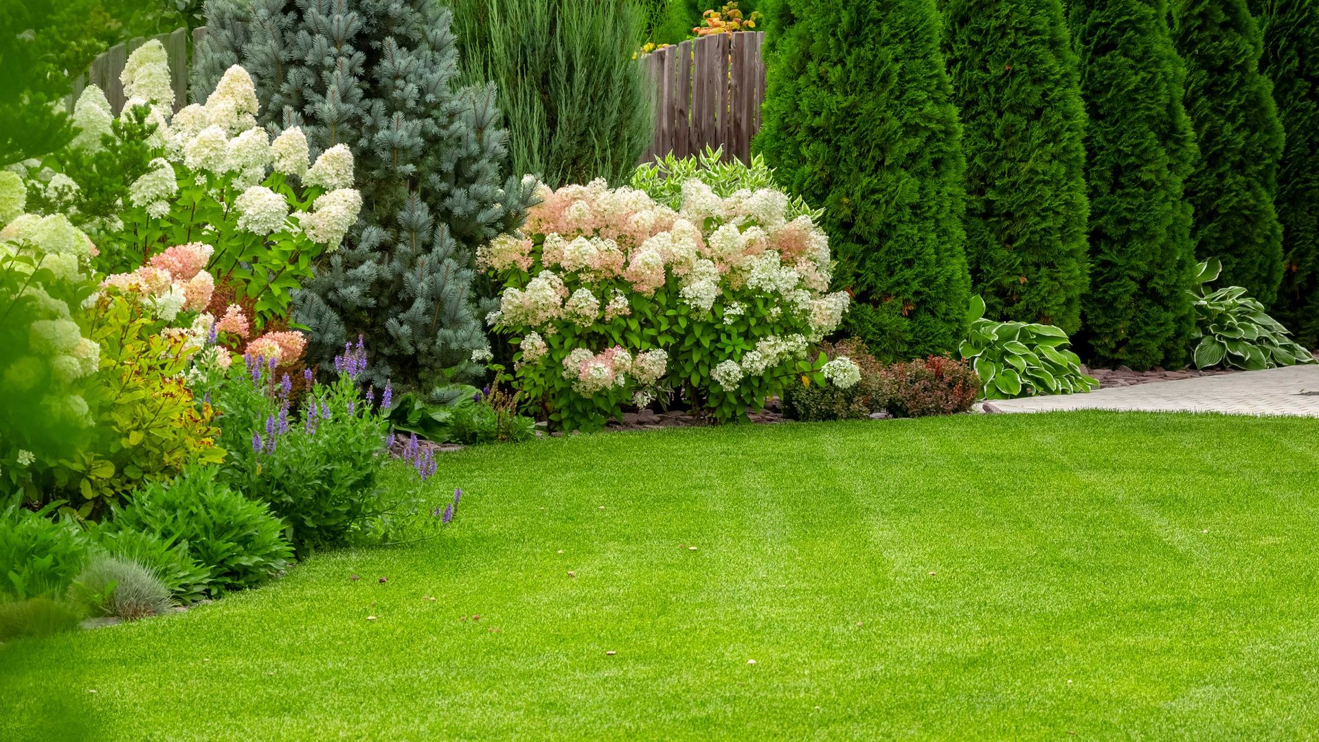 Lawn care tips: 12 essential tasks for healthy turf | Gardeningetc