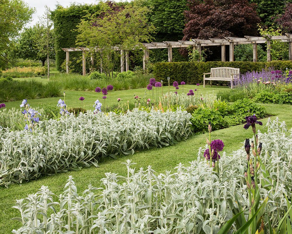 New Garden Designers 2020 – the freshest talent in horticulture | Homes ...
