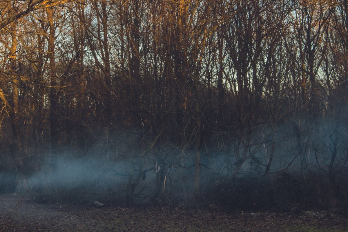 How to create atmospheric photos with fog | Digital Camera World