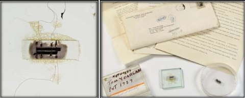 Microchip That Birthed Modern Computing Could Fetch $2 Million | Live ...