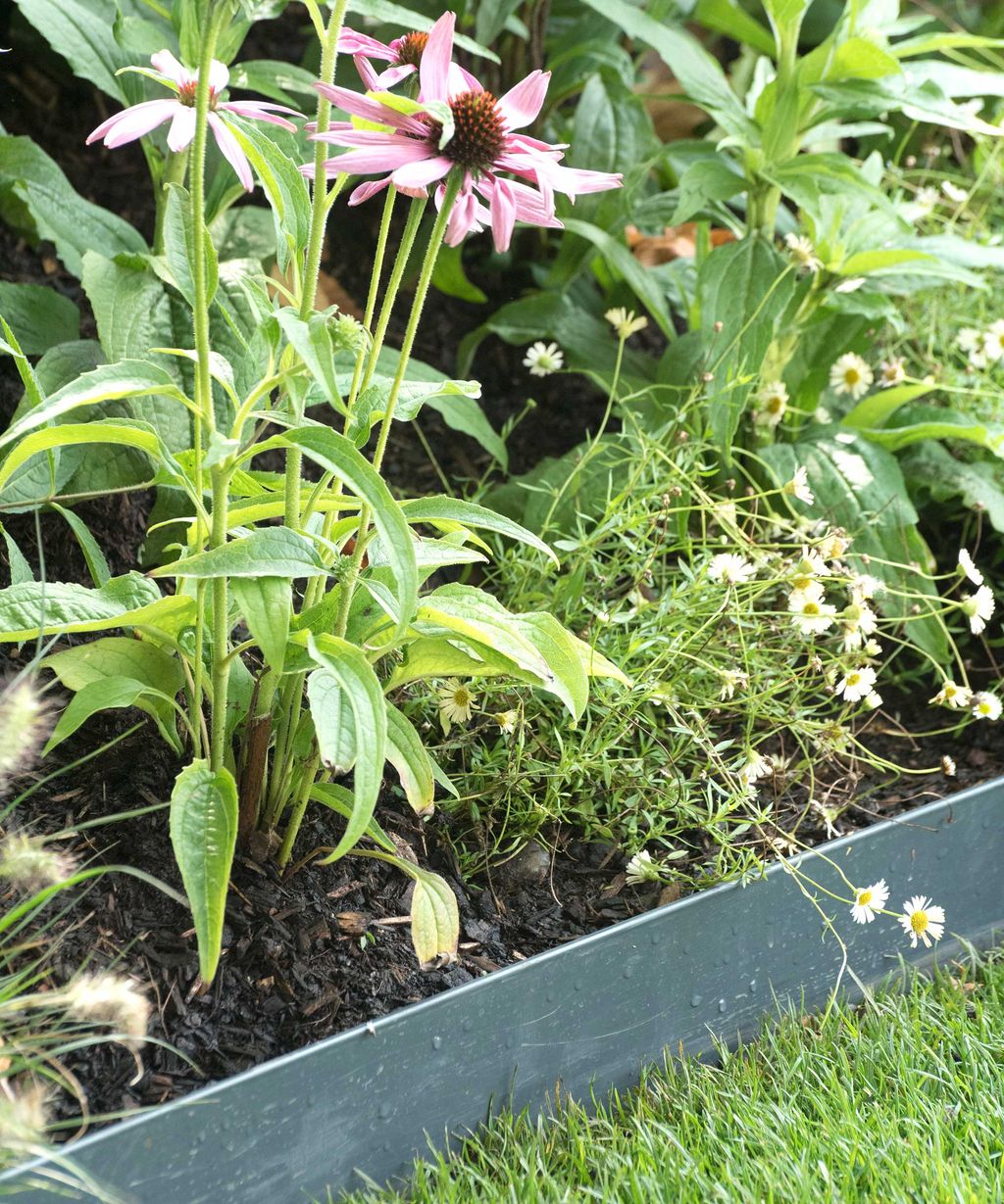 Lawn edging ideas: 15 ways to border your grass in style | Gardeningetc