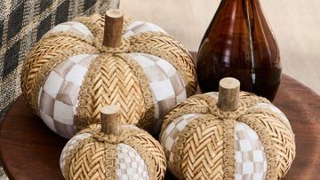 The best pieces from the QVC fall collection | Homes and Gardens