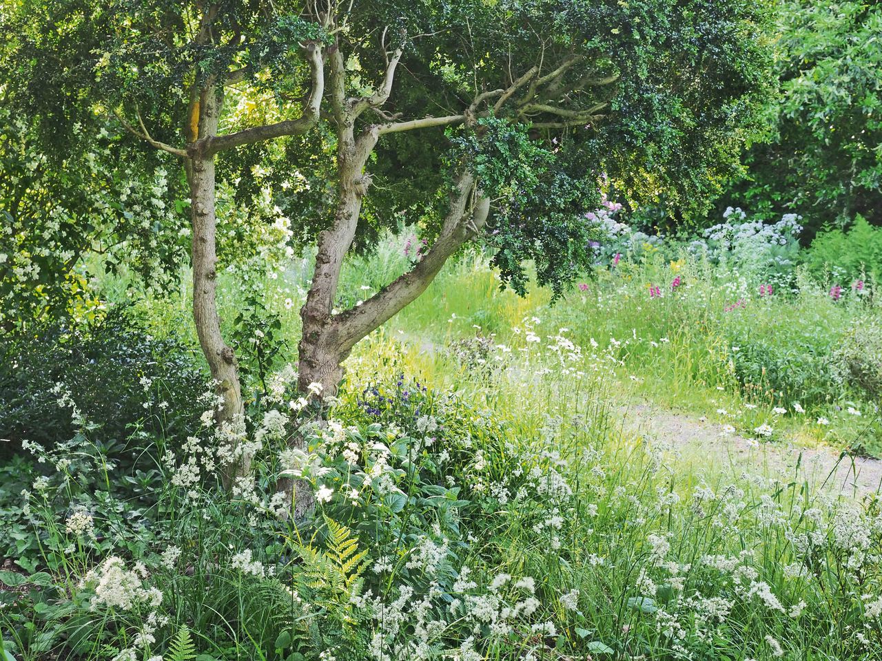 Sarah Price, one of Britain's great garden designers, takes Country ...