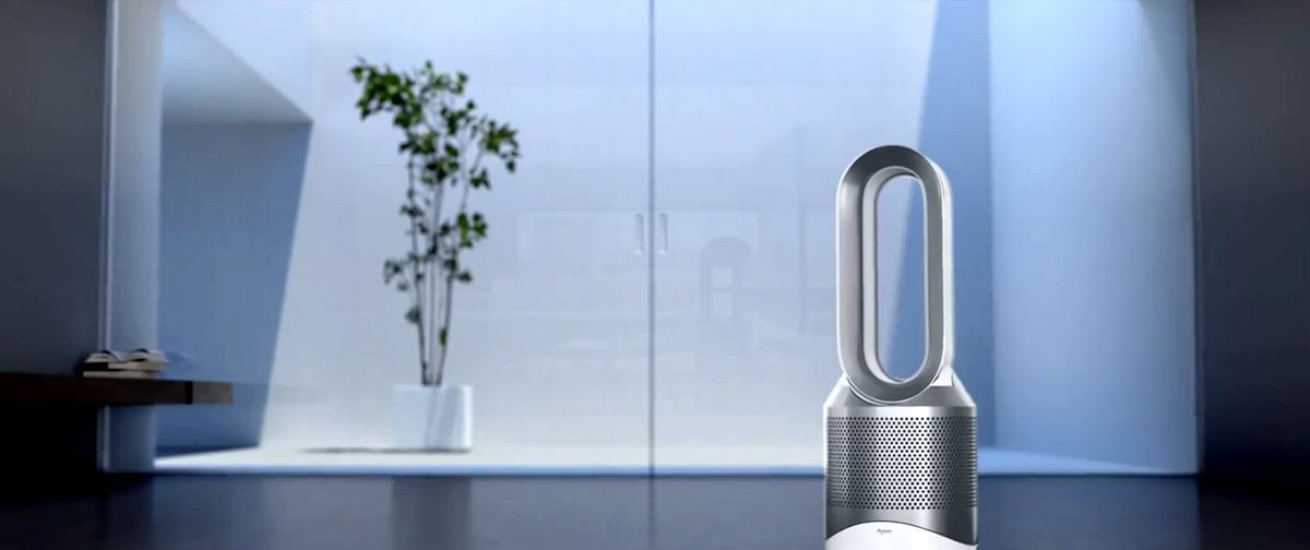 5 ways to improve the air you breathe | The Week