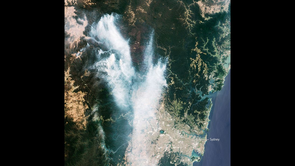 Australia's Deadly Wildfires in Photos: The View from Space: Page 2 | Space