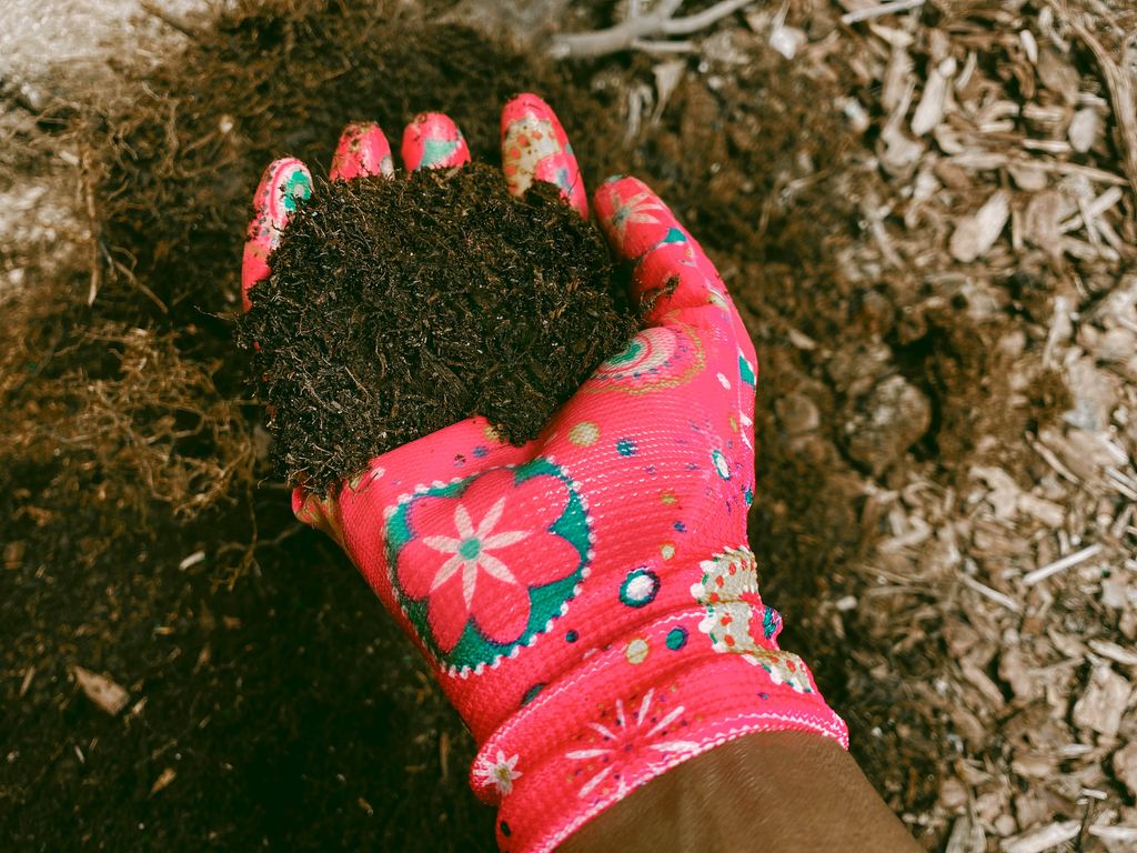 How to make a compost cake | Country Life