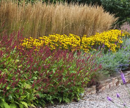 Must-Have Heat Tolerant Landscaping Ideas | Gardening Know How