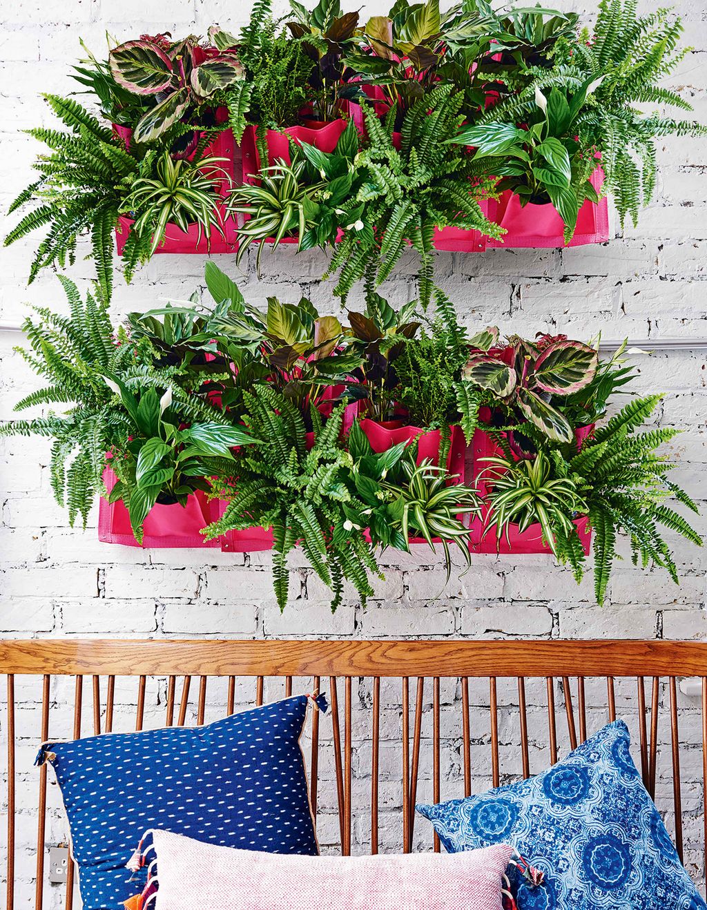 Indoor plant ideas: 25 ways to create stunning house plant displays ...