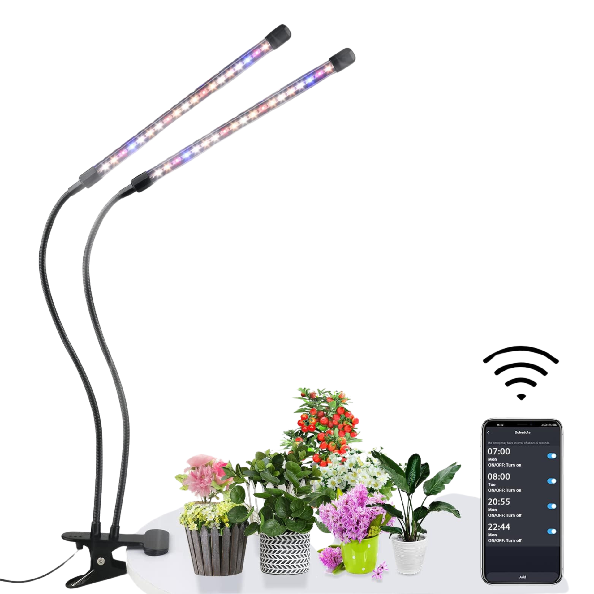 4 Ways Your Alexa Device Can Help With Your Houseplant Care | Livingetc