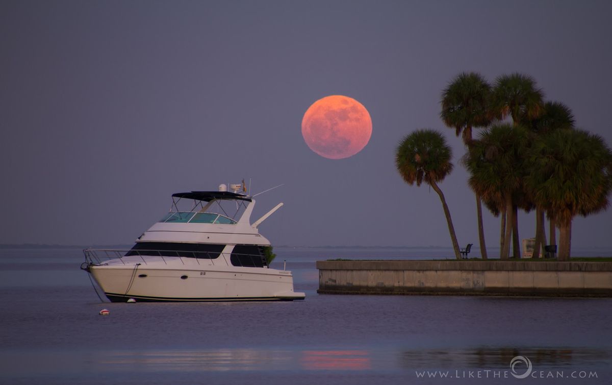 9 Amazing Photos of the Last 'Supermoon' of 2016 | Space